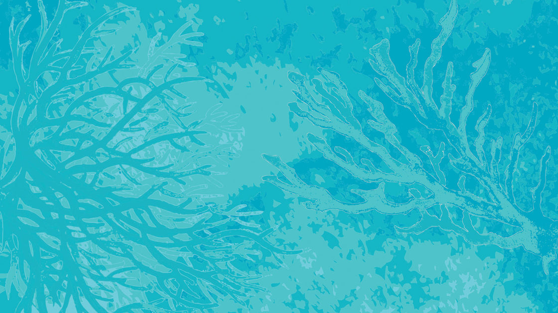 Blue Tide Collection – AnaClare